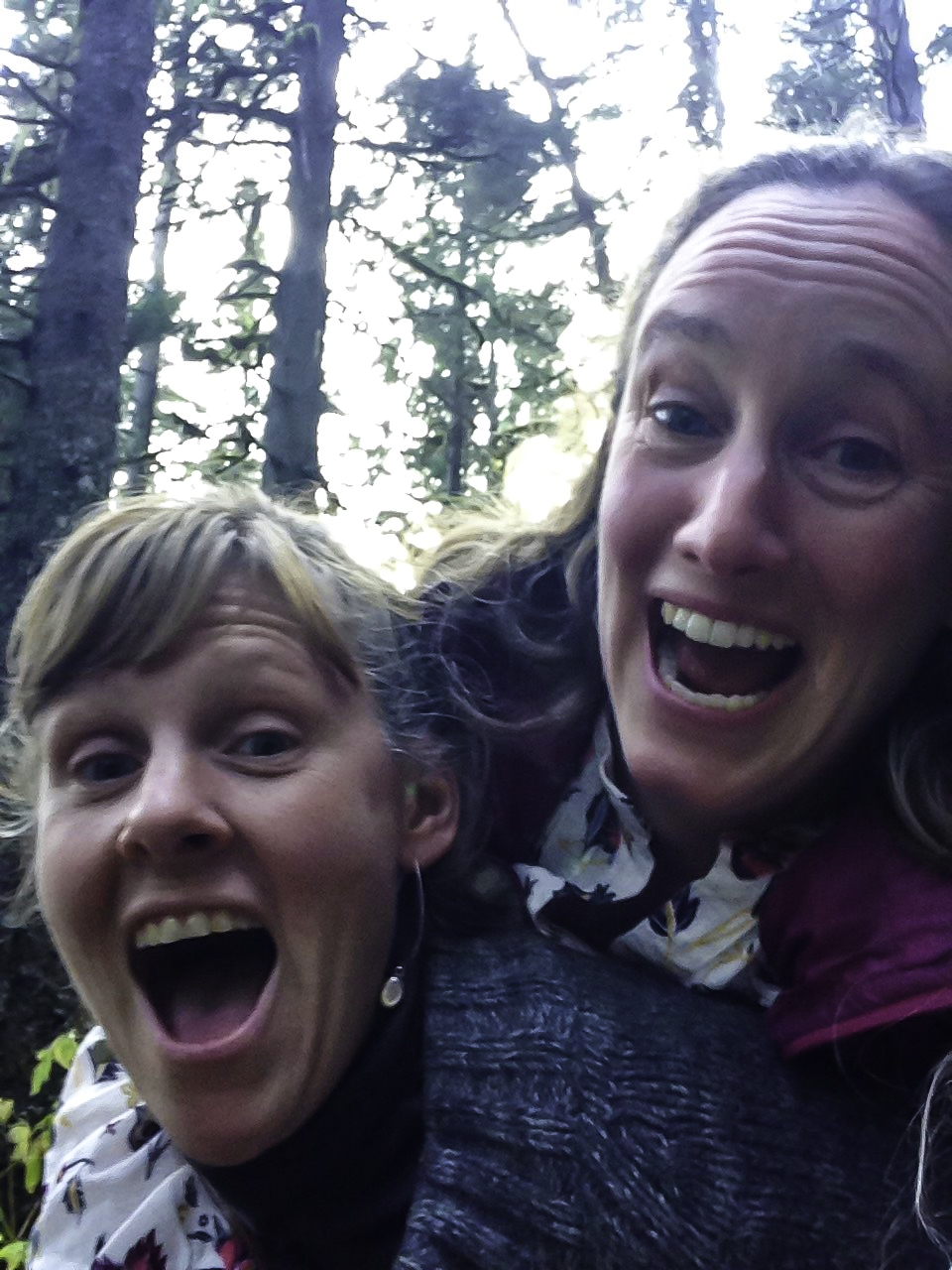 KPBSD Kim Leslie, 2021 Alaska Teacher of the Year Finalist - KPBSD ...